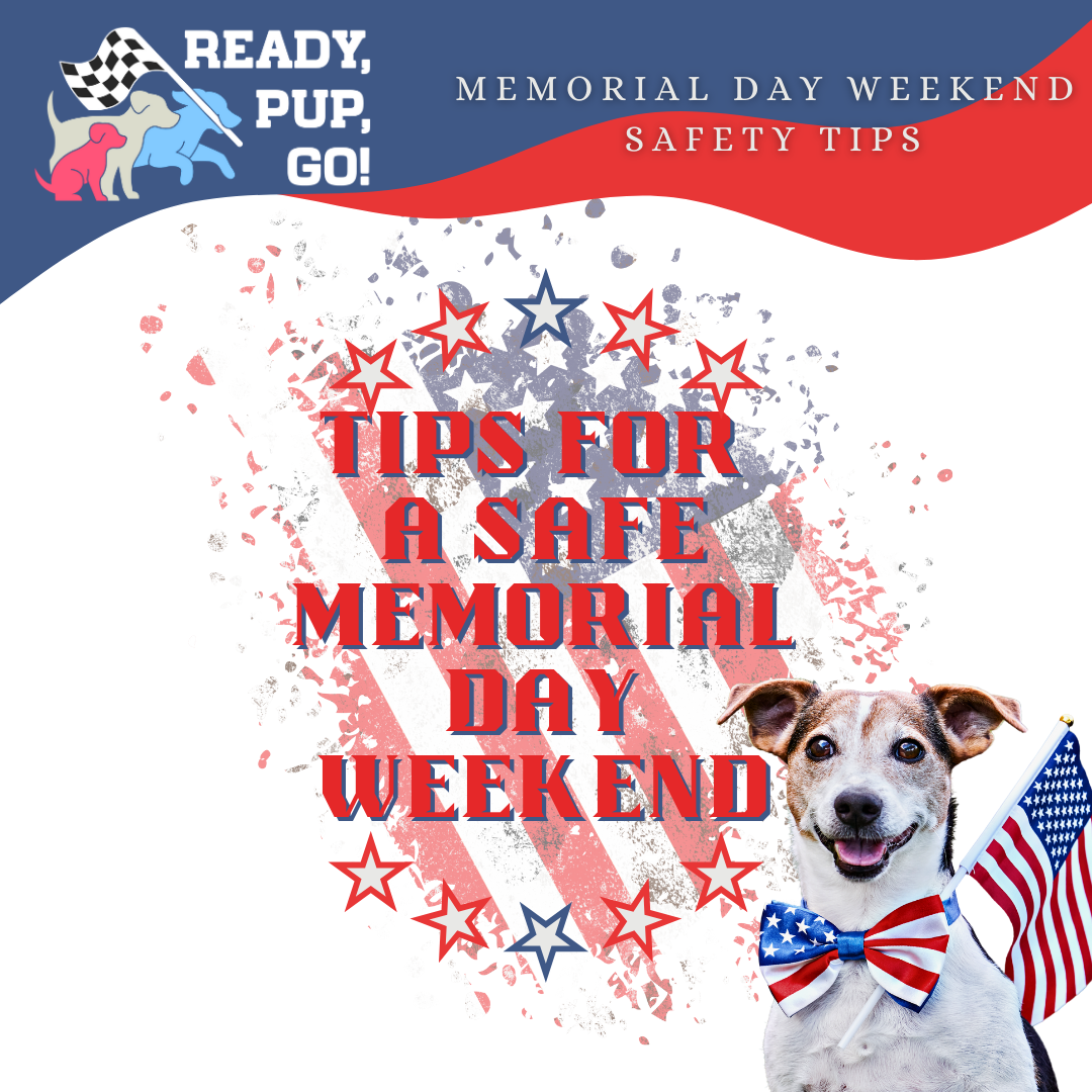 Memorial Day Safety: Keeping Your Pup Safe and Happy * Ready, Pup, Go!