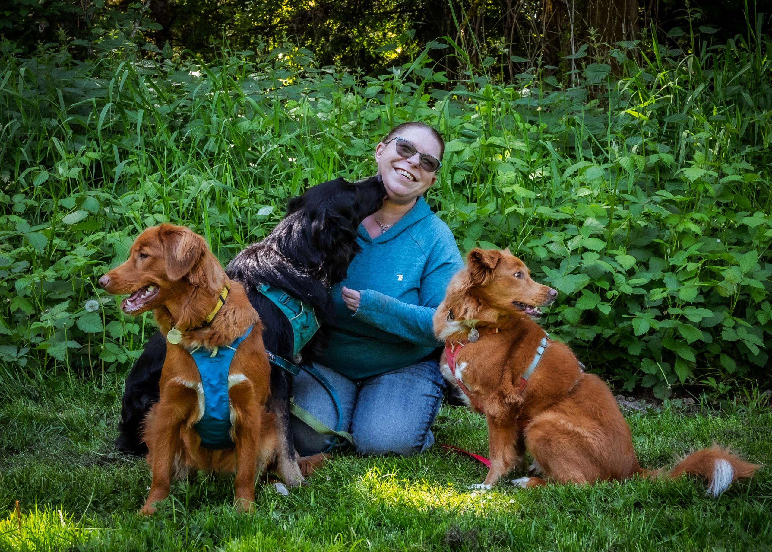 Meet Your Puppy Coach * Ready, Pup, Go!