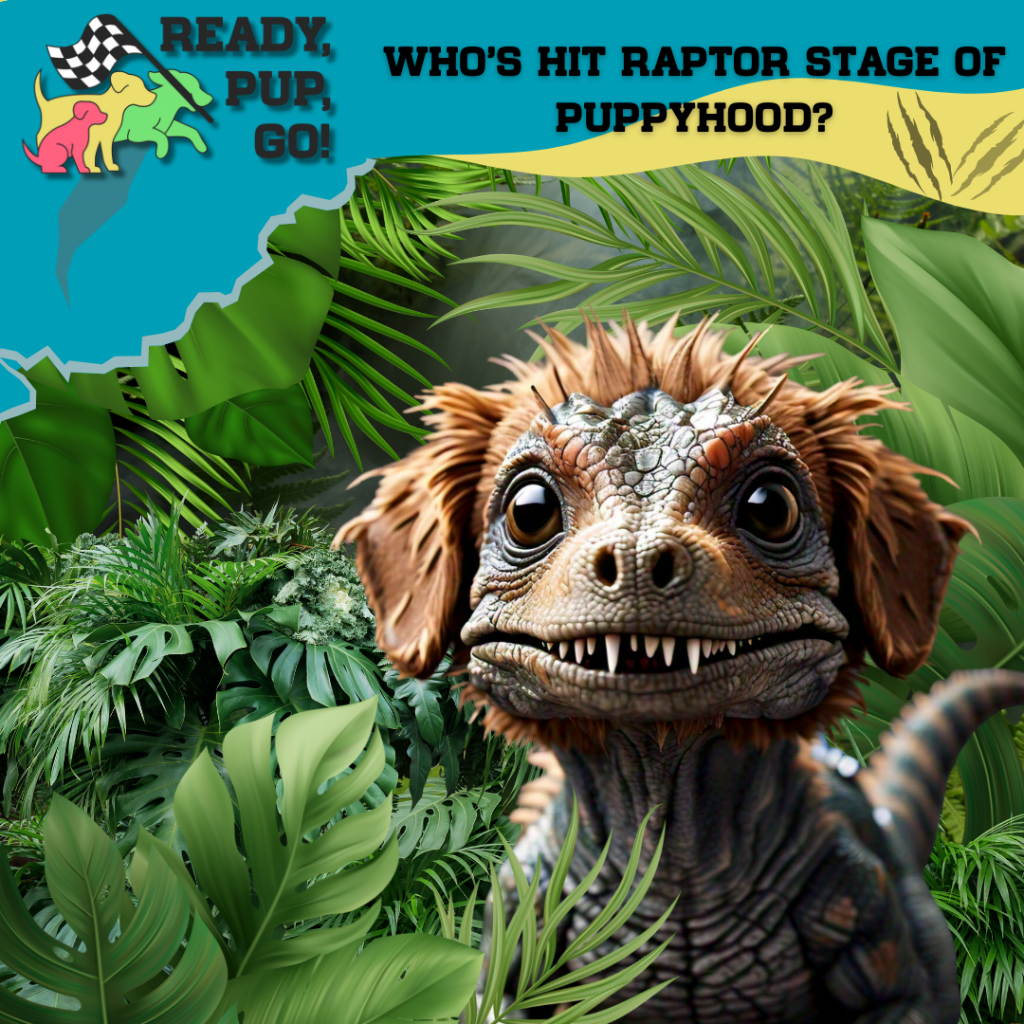 Stop Puppy Biting: Bite Inhibition with Simple Steps * Ready, Pup, Go!