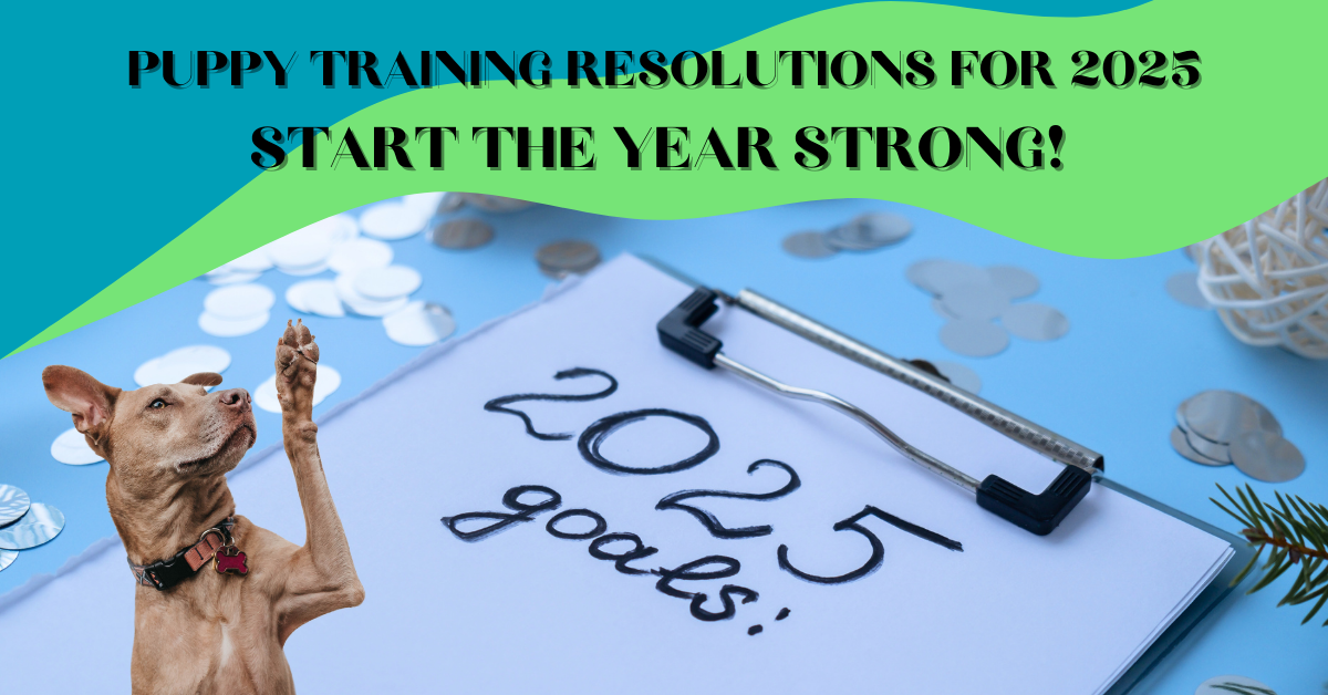 Training Goals for Your Puppy in the New Year * Ready, Pup, Go!